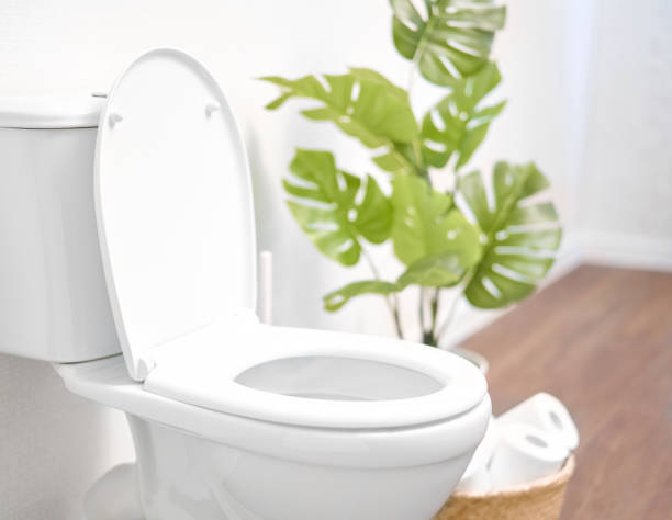 Quels sont les meilleurs types de toilettes